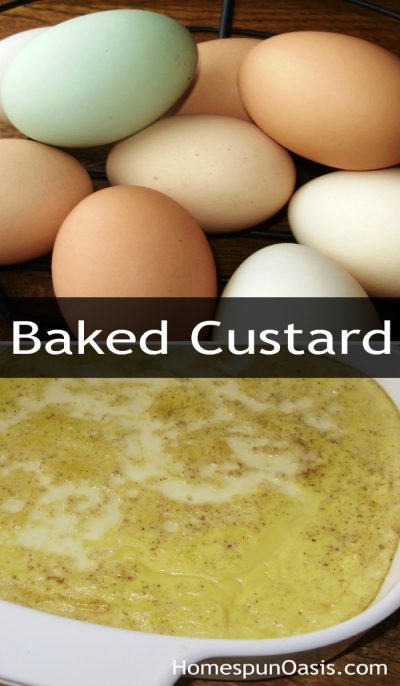 Baked Custard - Homespun Oasis by Millie Copper